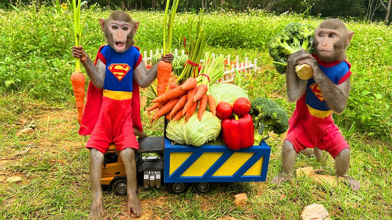 Smart Bim Bim becomes a superhero to harvest broccoli in the farm - YouTube