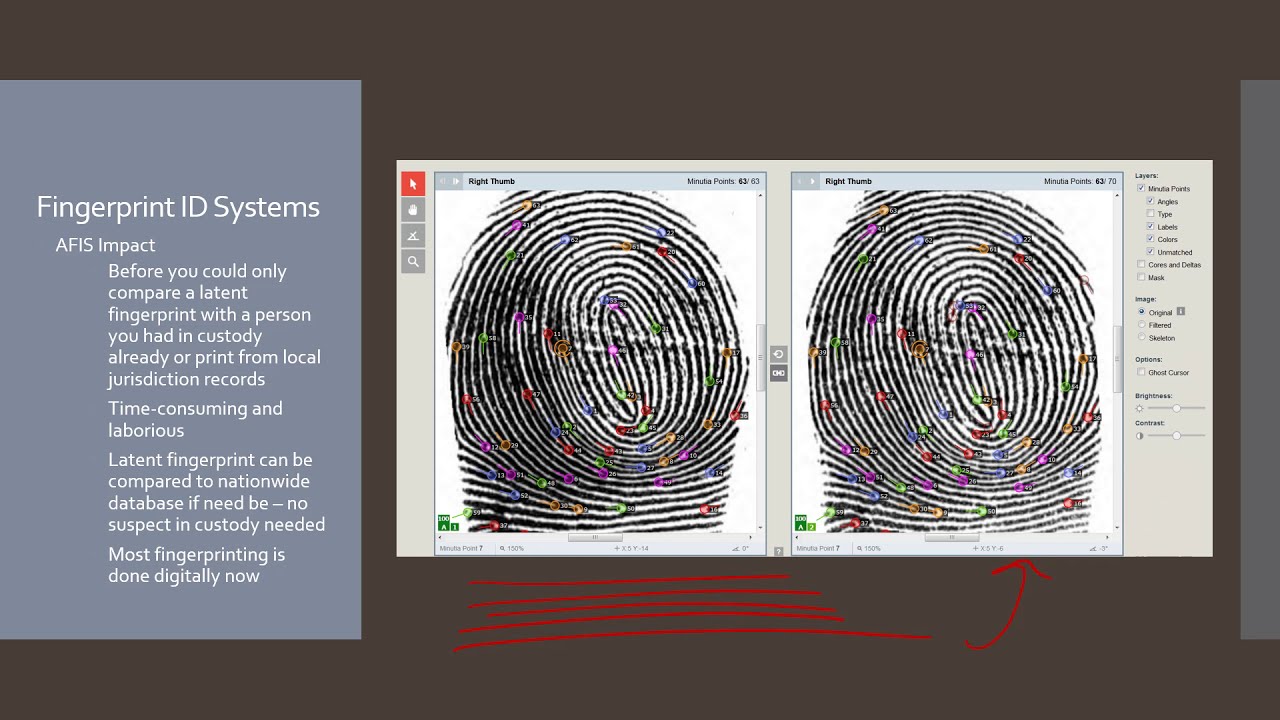 036 Fingerprint Classification Systems - YouTube