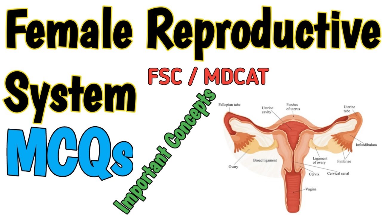 FEMALE REPRODUCTIVE SYSTEM | MCQS | REPRODUCTION | FSC BIOLOGY and ...
