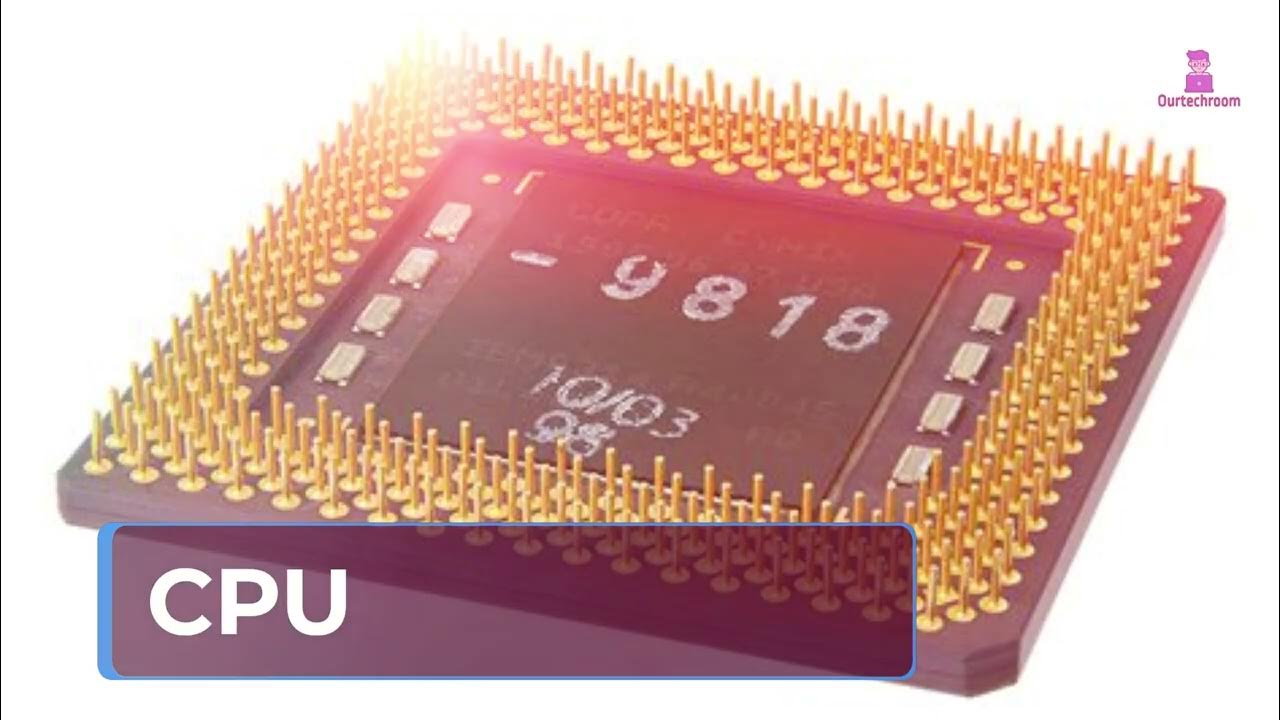 Unpacking the Differences: CPU vs Processor Explained - YouTube