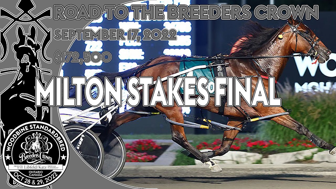 2022 Milton Stakes Final - Test Of Faith - Mare Pace - YouTube