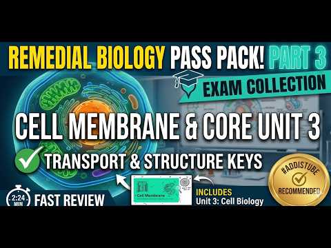 Remedial Exam Collection 2026 |