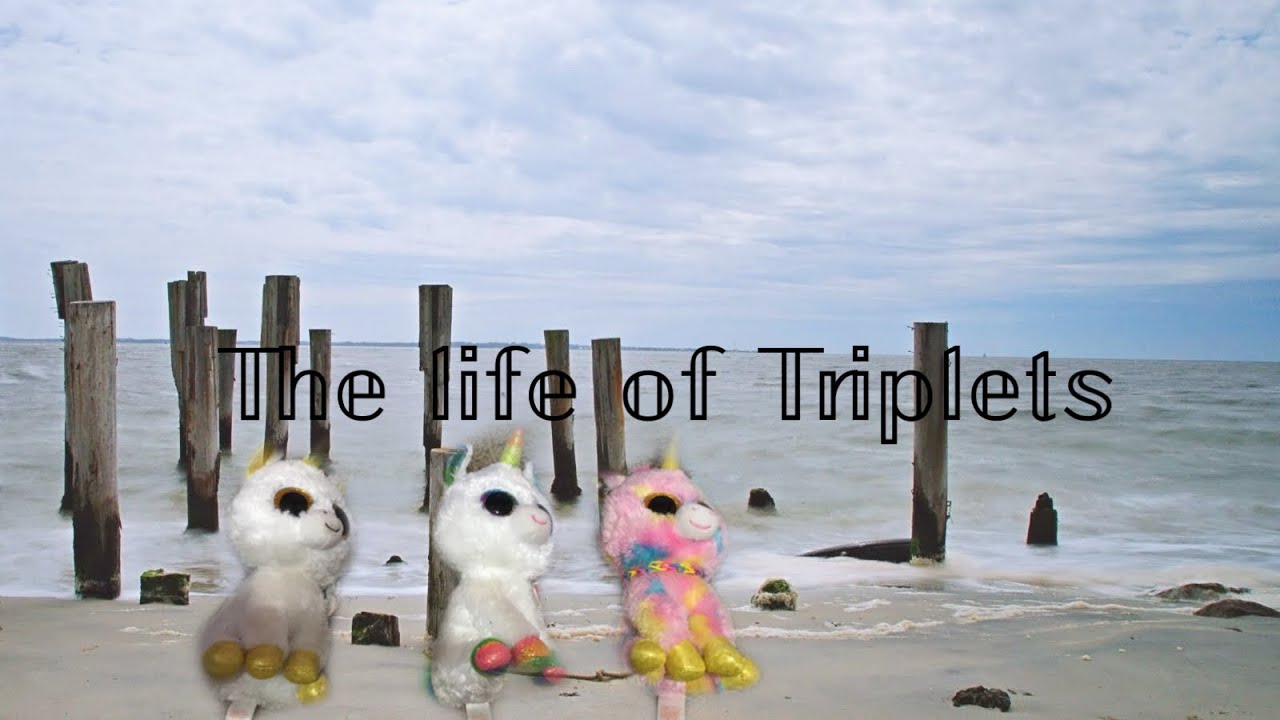 The Life Of Triplets|Beanie Boo Story - YouTube