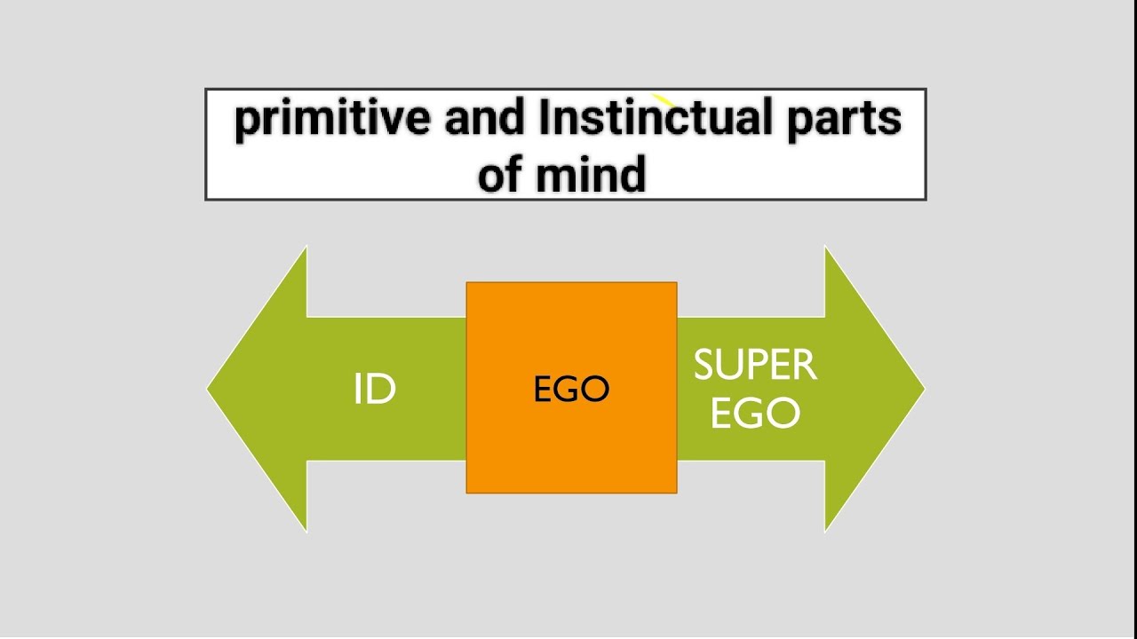 Primitive and Instinctual parts of Mind. id , ego, superego - YouTube