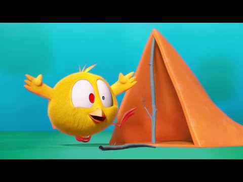 Chicky, the camping king | Where's Chicky? | Cartoon Collection in English for Kids | New episodes