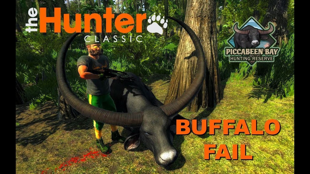 The Hunter Classic - BUFFALO FAIL - Piccabeen Bay - YouTube