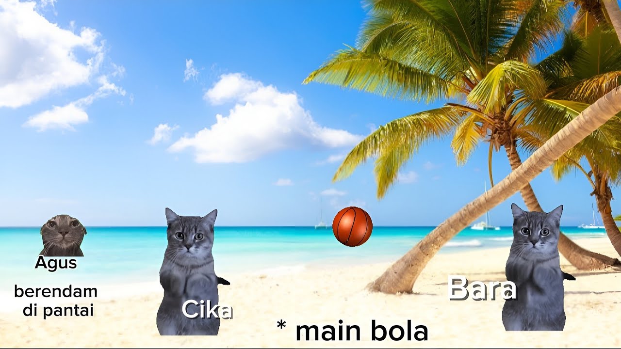 Pov Liburan di Pantai | meme kucing lucu - YouTube