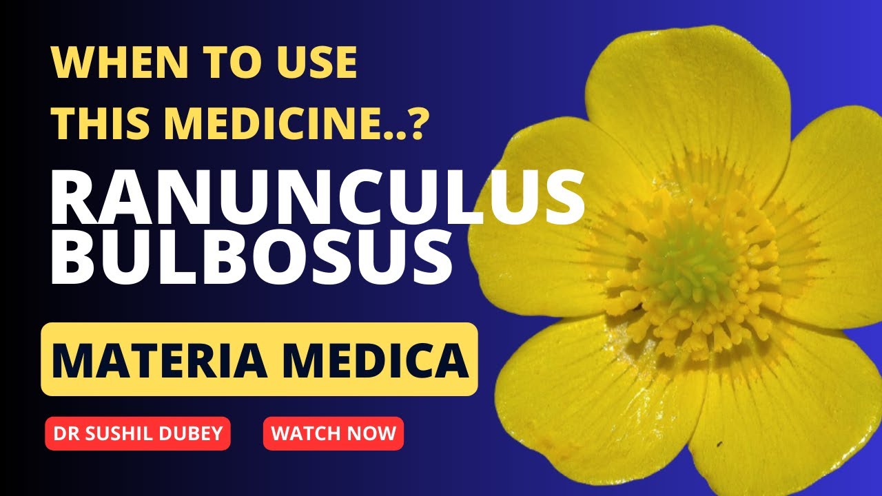 When To Use Ranunculus Bulbosus Homeopathic Medicine ? Sushil Dubey ...