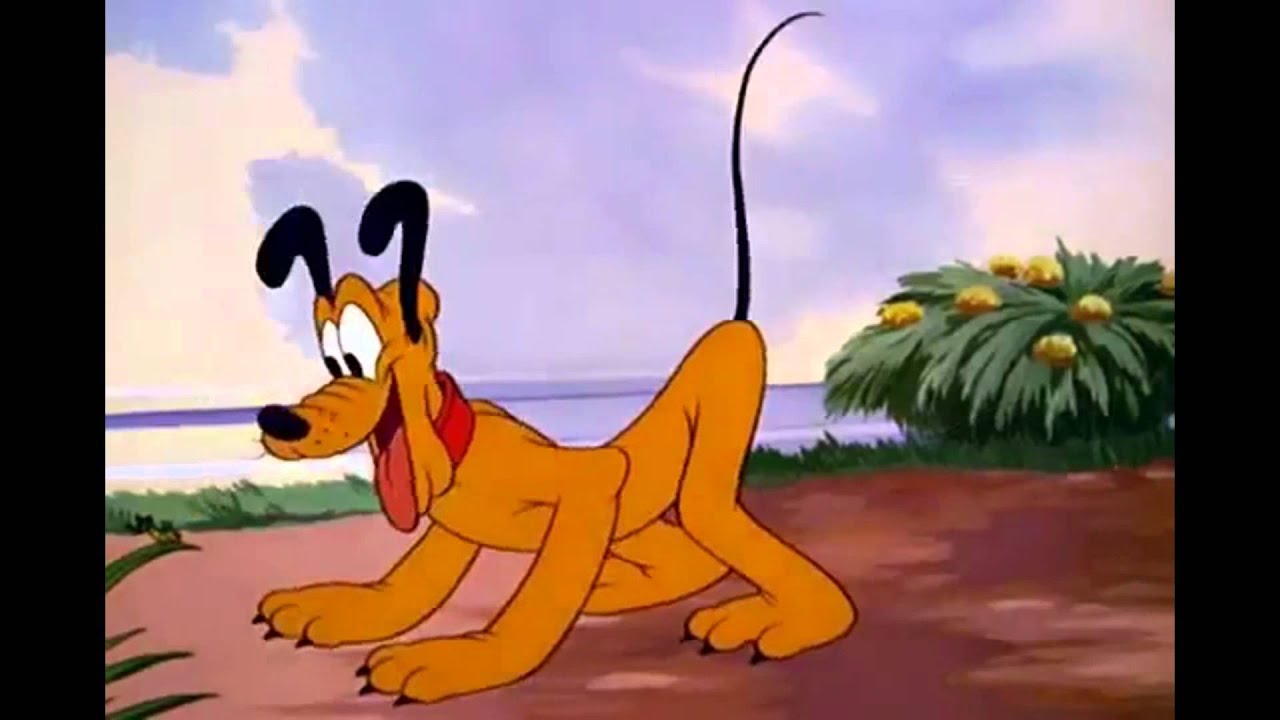 Disney Shorts Pluto s Blue Note (SD) - YouTube