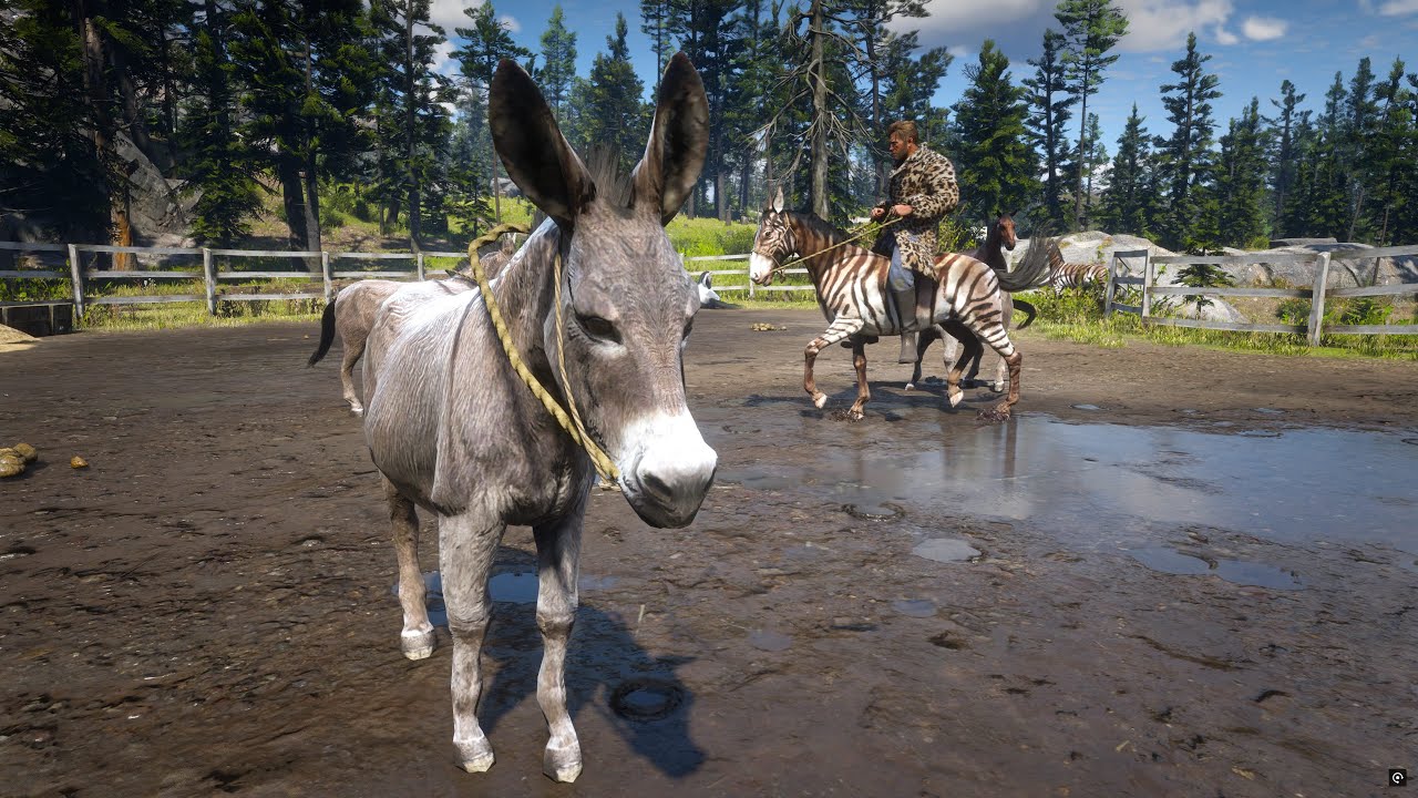 RDR 2 | Arthur Morgan Tames Rarest Zebra and Standard Donkey at ...