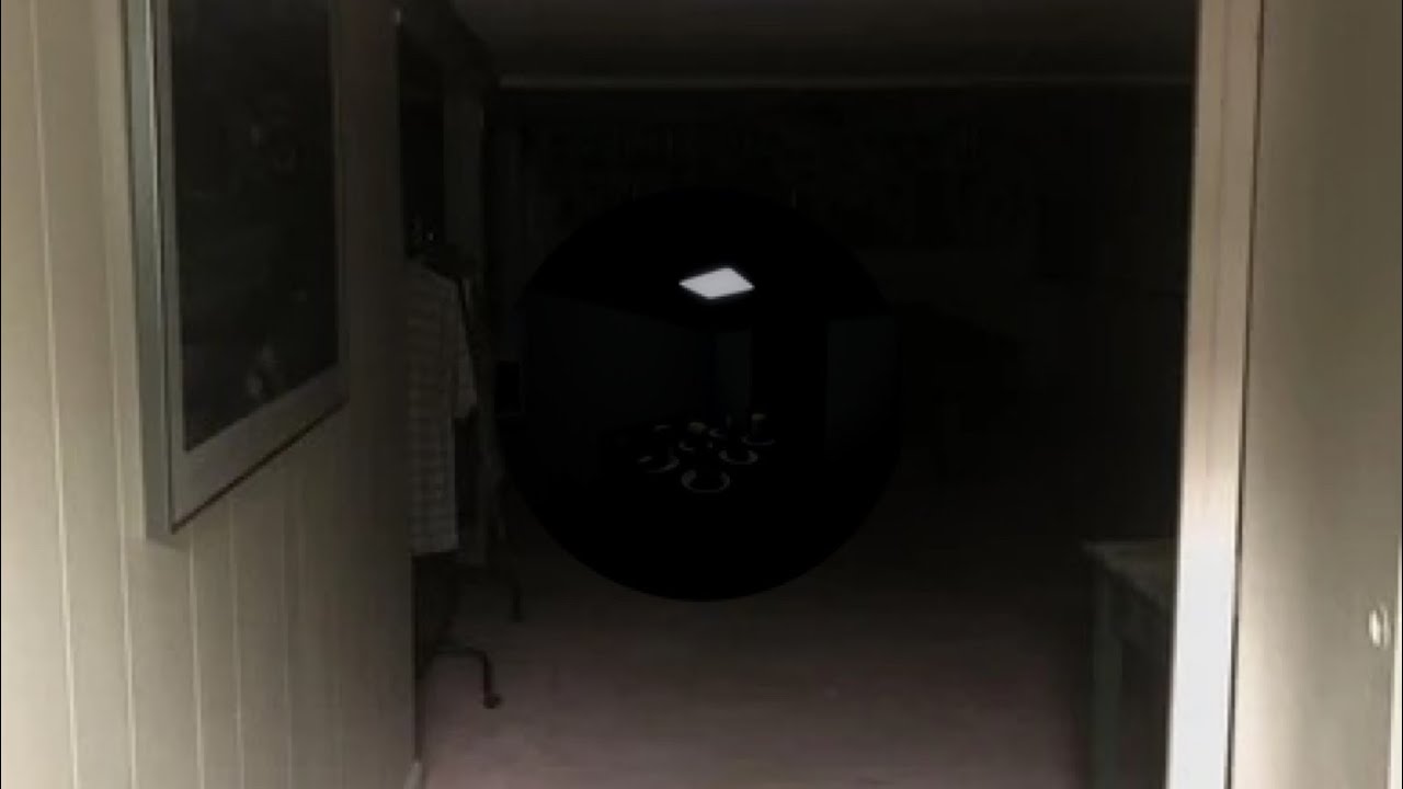 How to escape Bonus level -7/710 at Basically the Backrooms (Johnathan ...