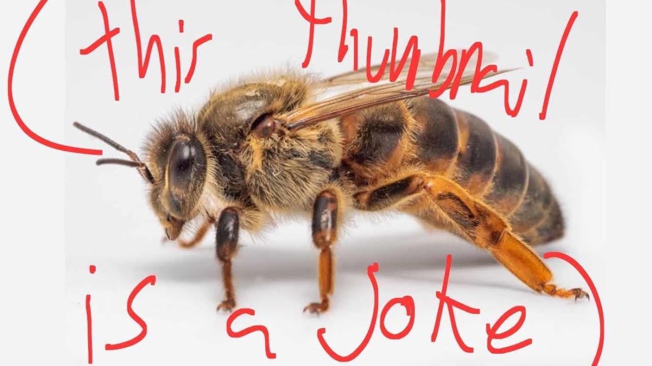 trying to spawn Bee in WCUE (how to spawn him and me trying to) - YouTube