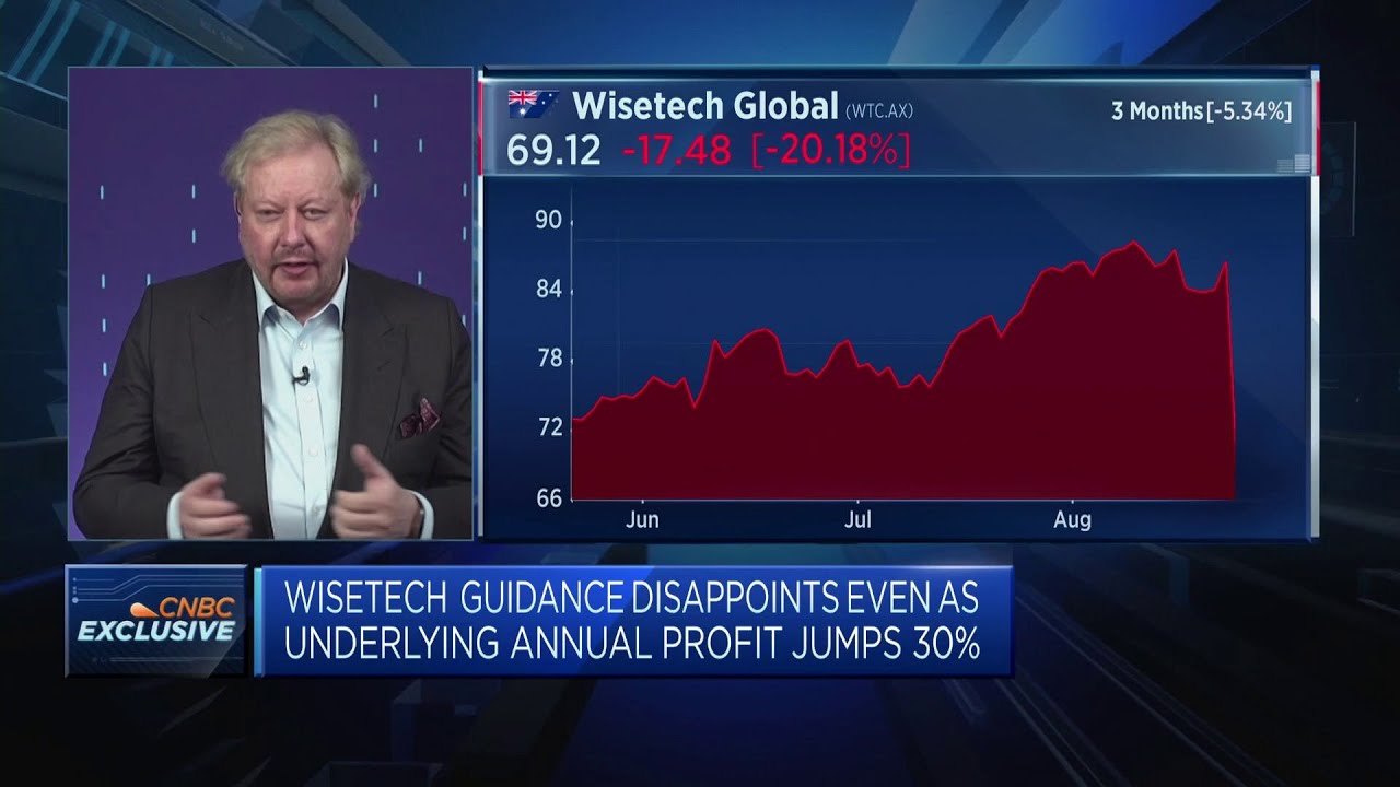 WiseTech CEO says 'look at the bigger picture' despite a plunge in ...