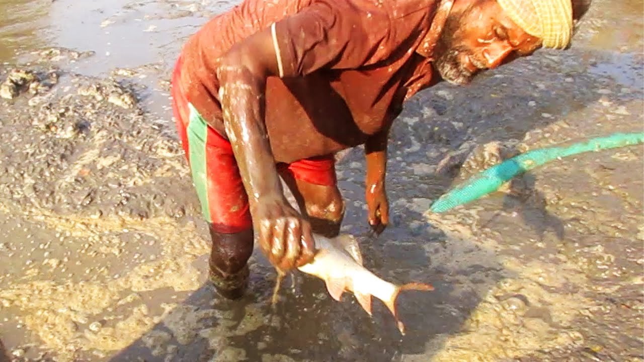 Hand Fishing | Awesome Hand Fishing | Fishing Video | EP 10 | WAVeBiG ...