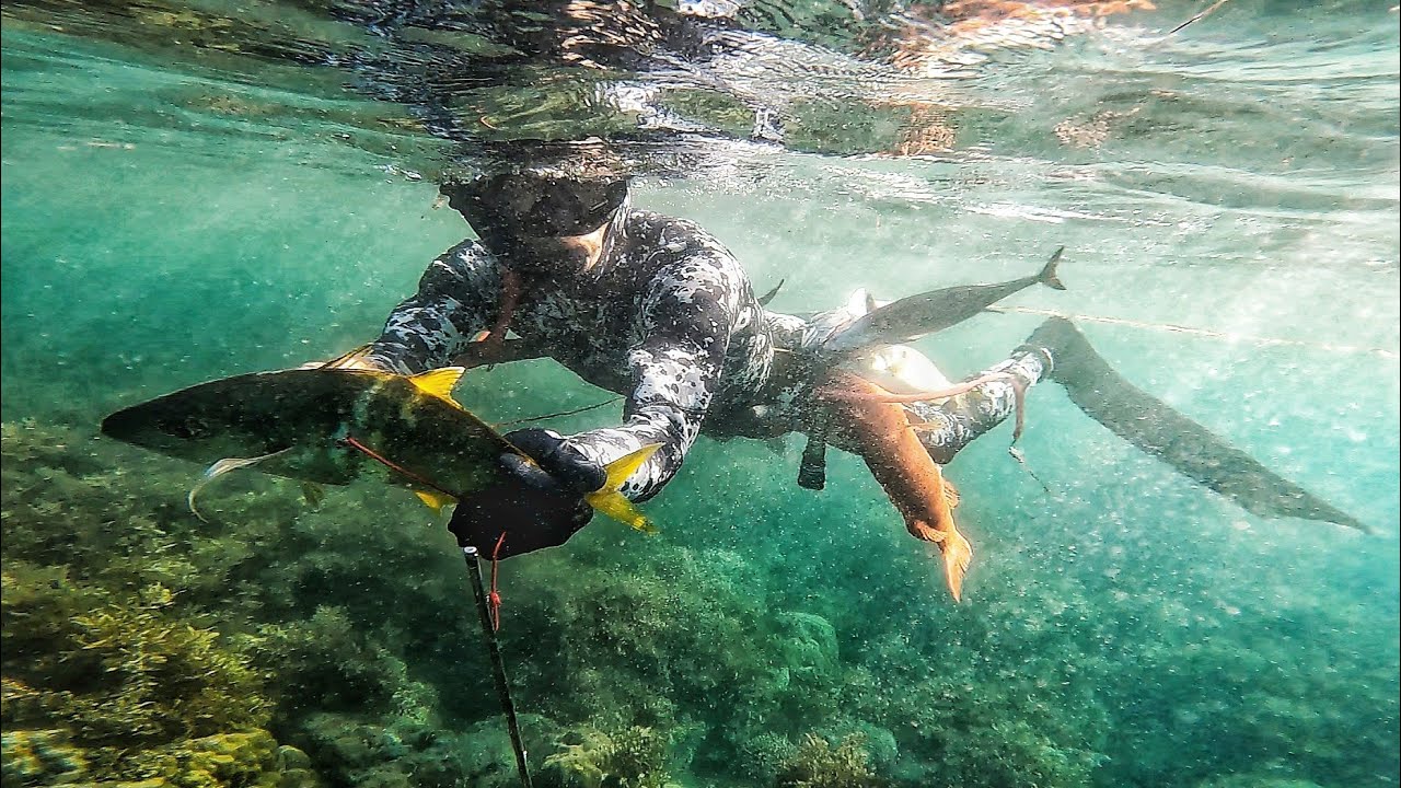 DOUBLE BONITO🎯 | Naka tsamba sa isang tira🙌 #spearfishingPhilippines # ...