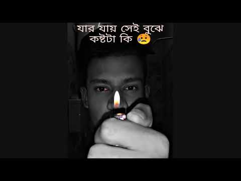 SemZ Vai New Sung - YouTube