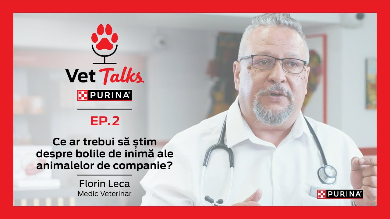 #VetTalks Florin Leca: Ce ar trebui să știm despre bolile de inimă ale ...