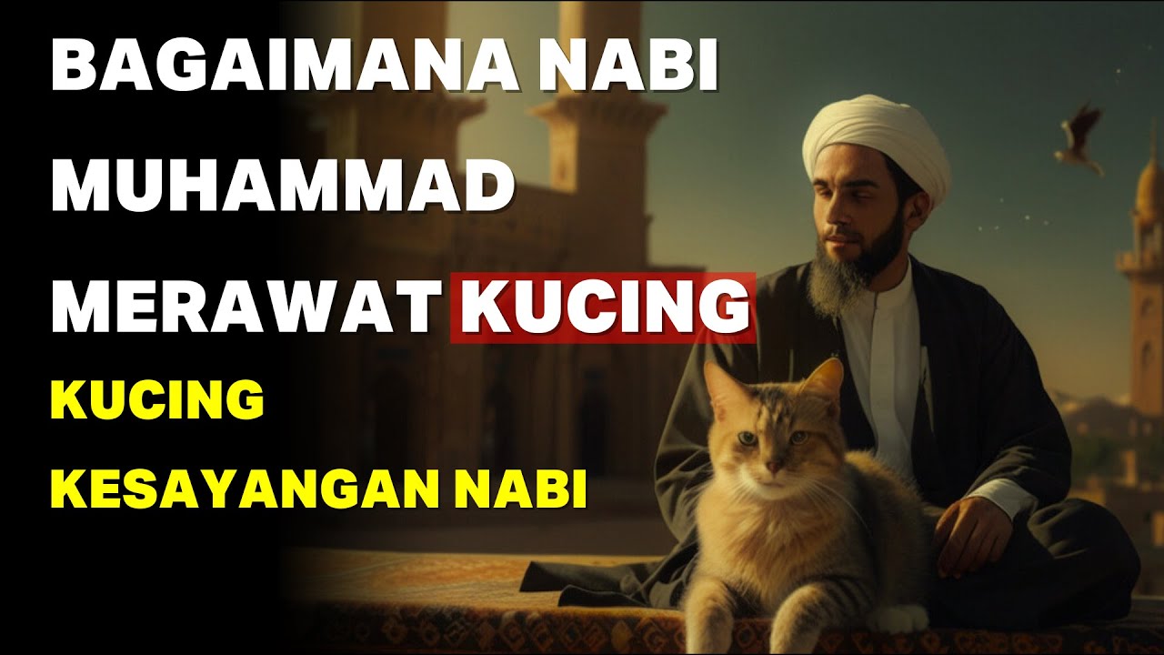 Kucing dalam Kehidupan Nabi Muhammad SAW - YouTube