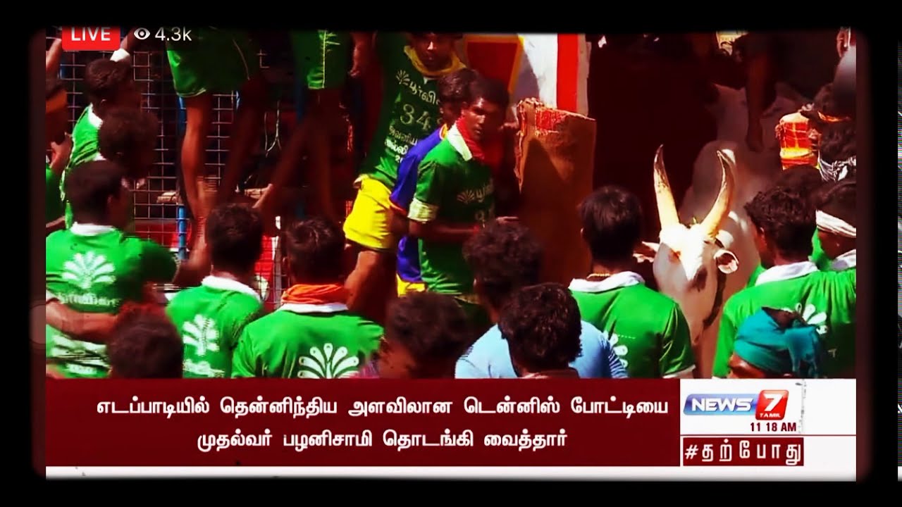 Avaniyapuram# Jalikkattu2020# Vellaiyan Veri aaatam#Highlights👍 - YouTube