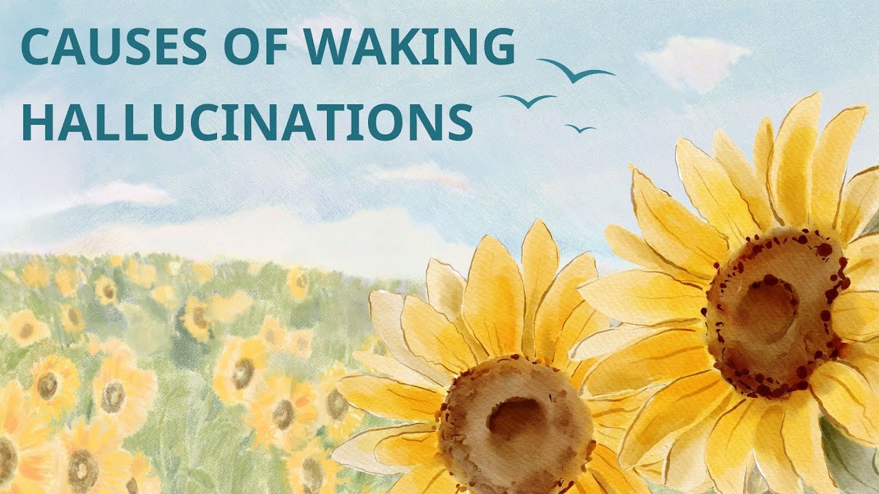 Causes of Waking Hallucinations - YouTube