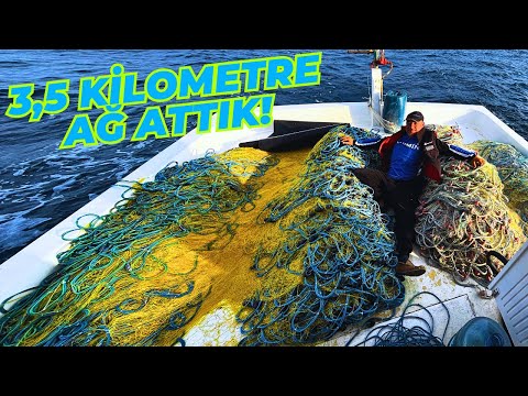 3,500 METRE AĞ ATTIK !!! | BOL AKSİYONLU BİR AV !!!