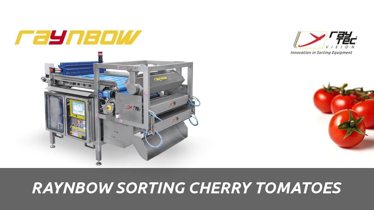 Raynbow sorting cherry tomatoes | Raytec Vision - YouTube