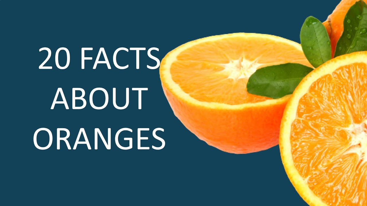 How Much Do You Know About Oranges 20 Surprising Facts - YouTube