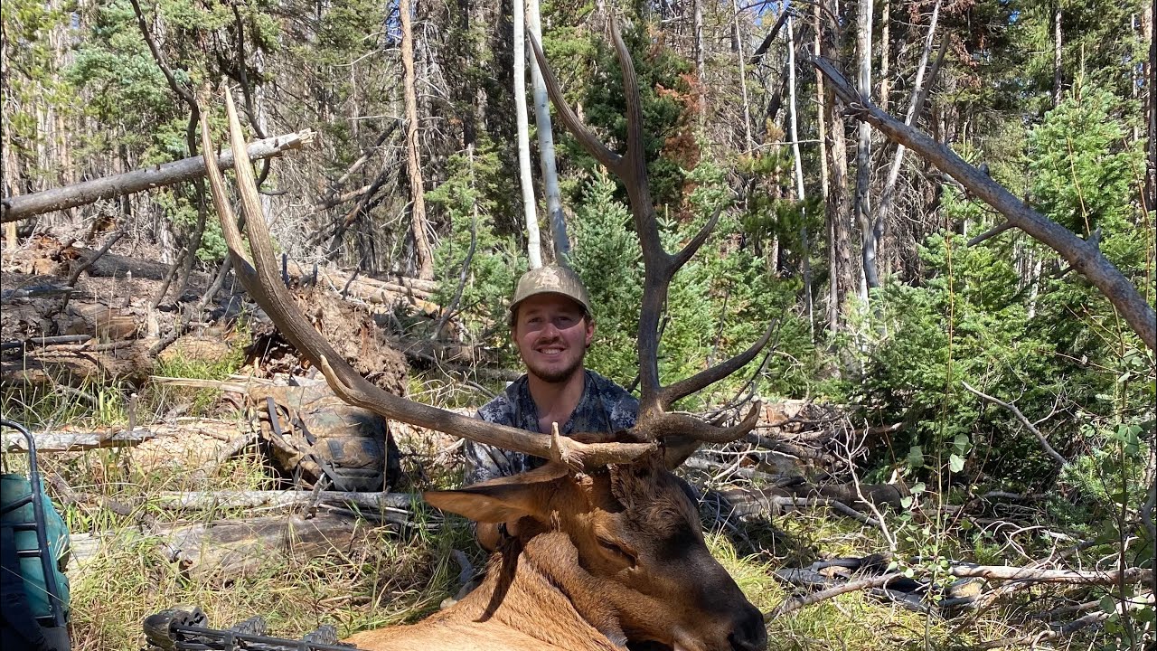 Colorado Elk Archery Kill shot (long version) - YouTube