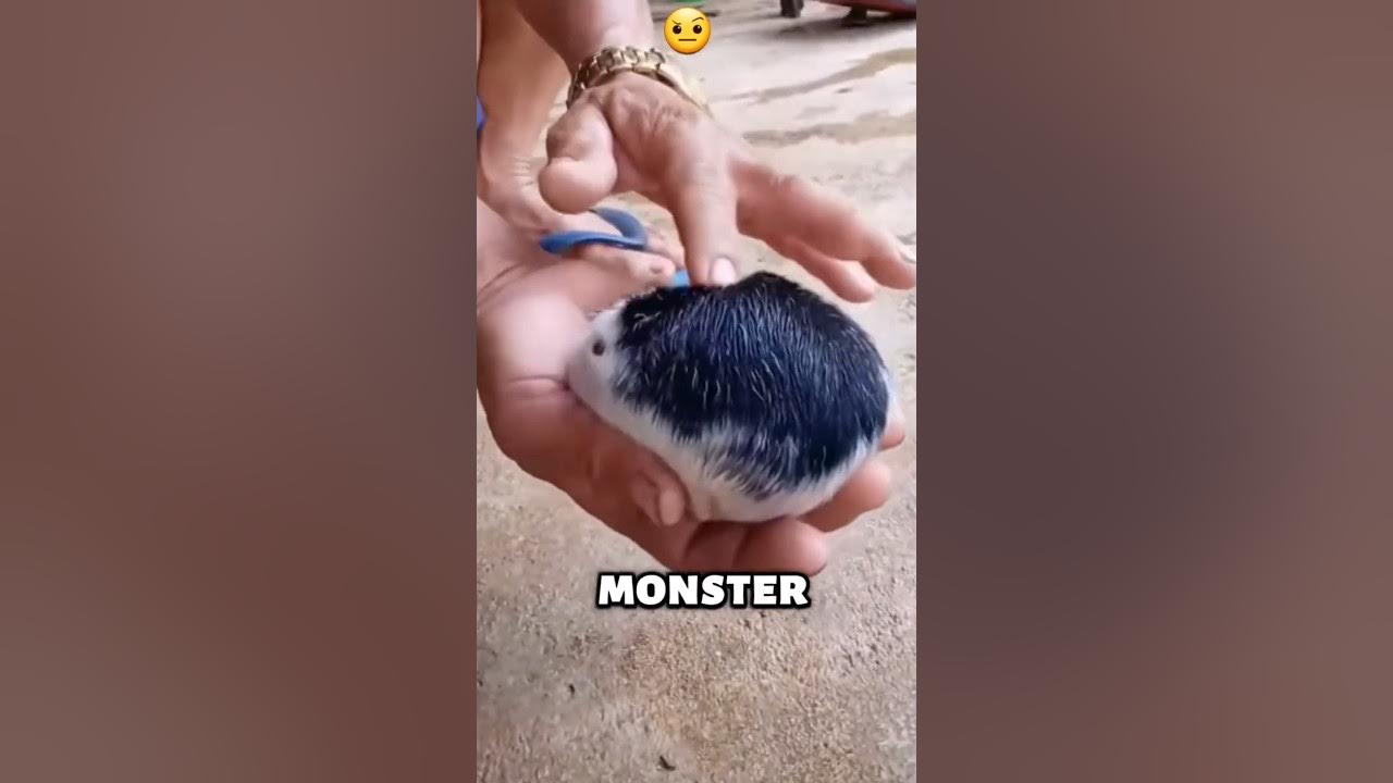 The Truth Behind This "Creepy Blob" ⁉️😱 - YouTube