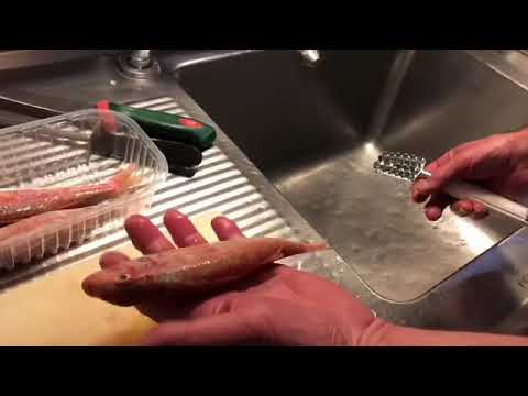 Tutorial triglia - YouTube