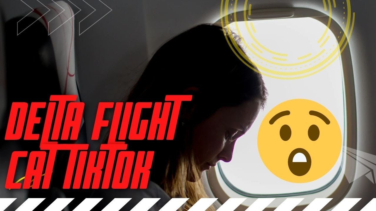 Delta Flight Breastfeeding Cat Tiktok - Ainsley Elizabeth Tiktok Cat ...