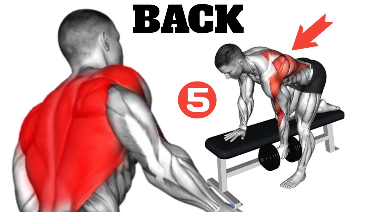 Best Exercises to Activate Growth BACK muscle faster || - YouTube