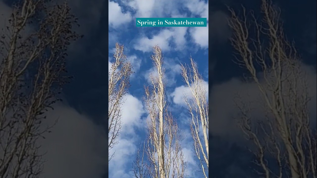 ##saskatchewan ##regina##spring##season##lordjesus##nature## ...