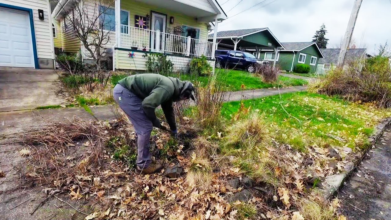 DANGEROUSLY Overgrown Sidewalk Is Putting This ENTIRE Community At Risk ...
