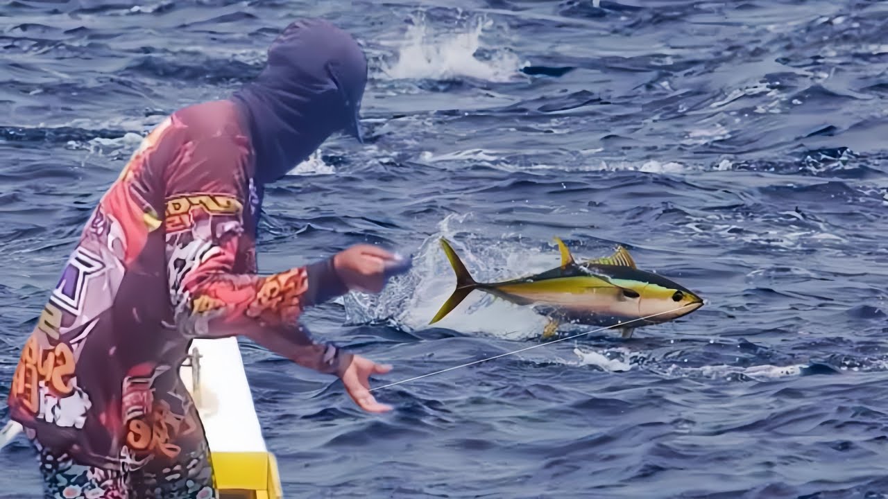 CATCHING LOTS OF TUNA USING BEST LURE | TRADITIONAL HANDLINE FISHING ...