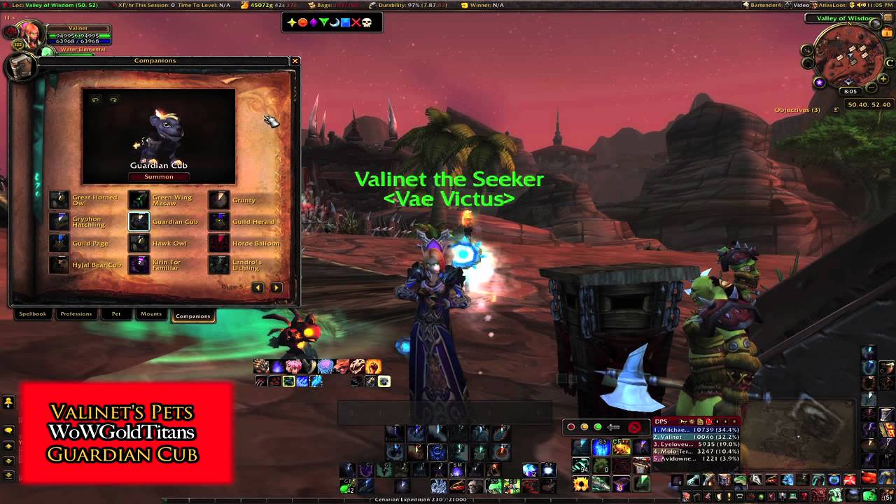 World of Warcraft - New Guardian Cub Pet 2011 - YouTube