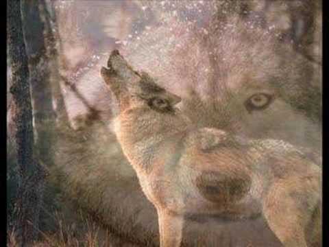 walf - YouTube