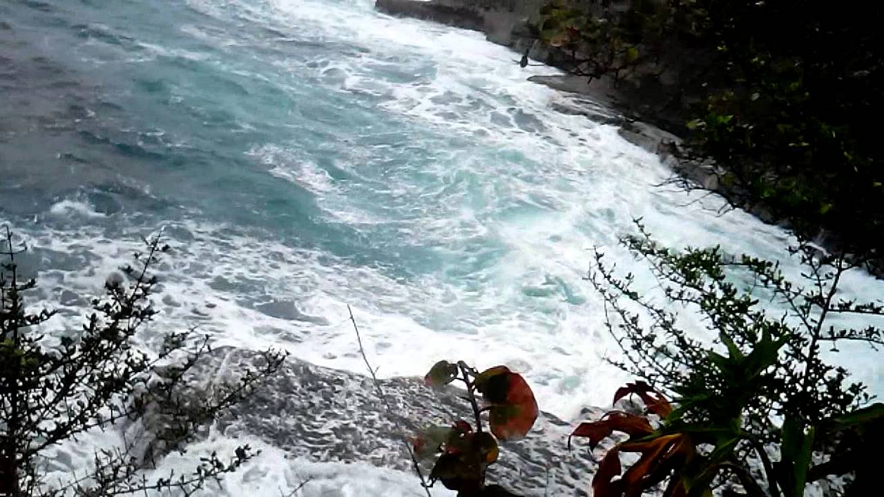 Monkey point - YouTube