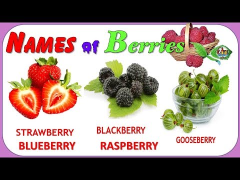 10 Names of Berries | Fruits Names | Learn all Berries Fruits ...