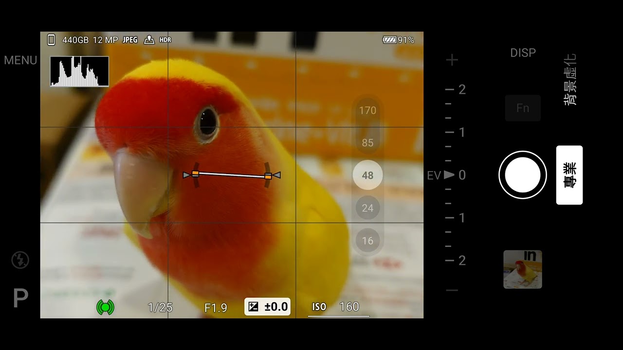 Xperia 1VI Pro Mode - YouTube