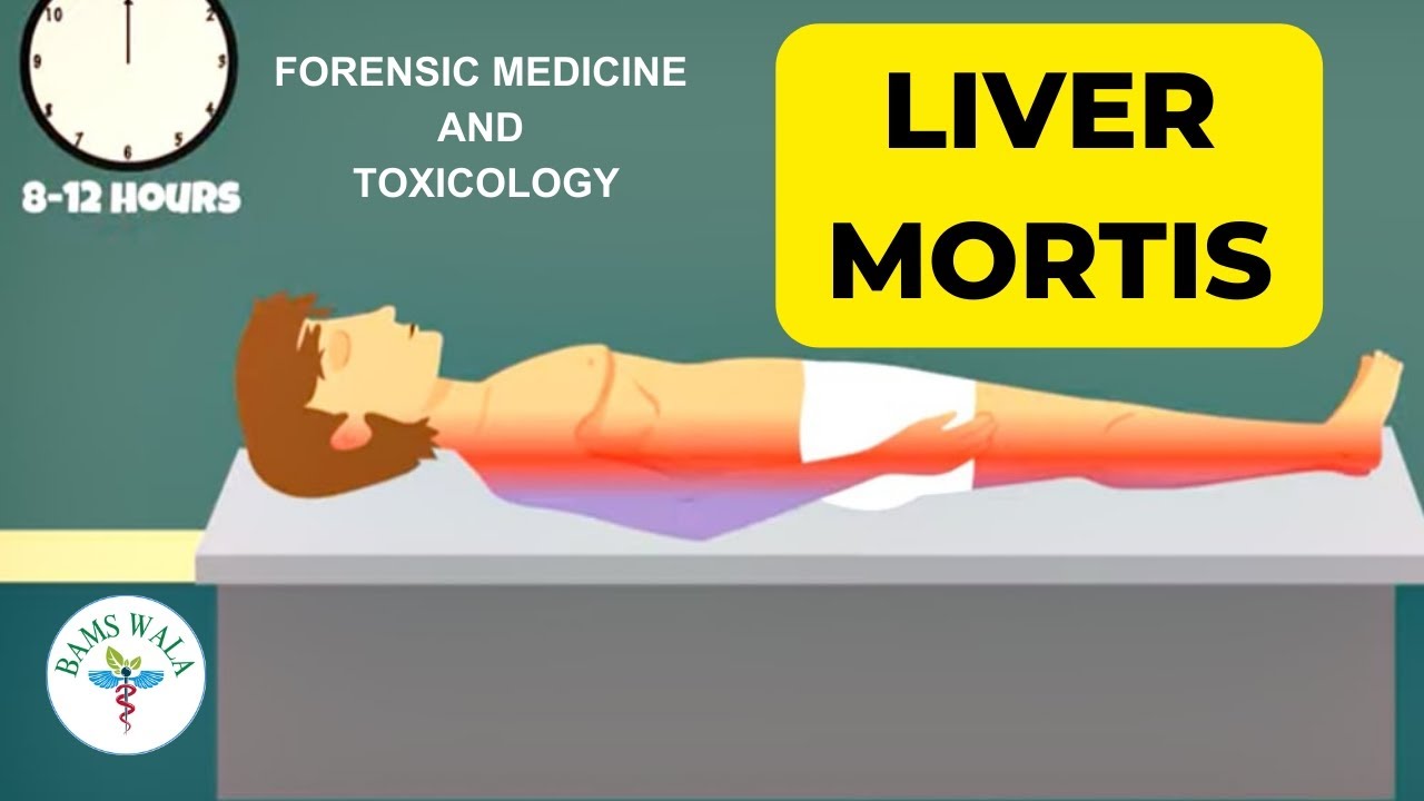 LIVER MORTIS || LATE CHANGES AFTER DEATH || FORENSIC MEDICINE AND ...
