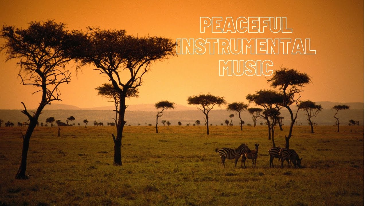 Calm instrumental music with African nature and culture | Salikhov ...