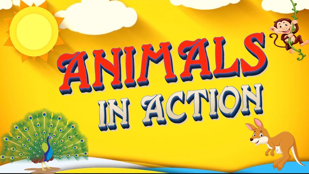 Animals Sounds & Action / Learn & Play With Animal Moves / Animal Fun ...