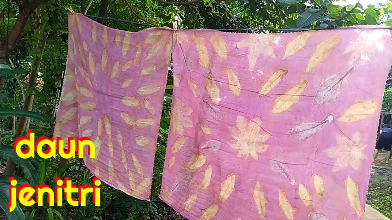 ecoprint pakai pewarna secang dan daun Jenitri - YouTube