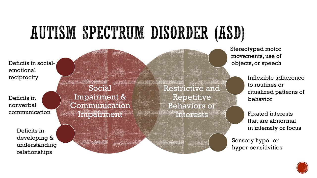 Back to Basics: ASD diagnostic criteria with MCHAT-R/F | T.K. Brasted ...