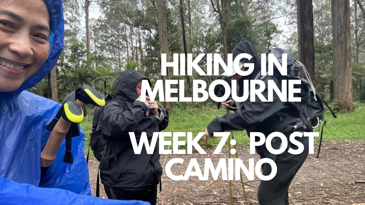 7| Life Post-Camino|| 8 kms on the Lyrebird Trail| 🤩#Hiking in # ...