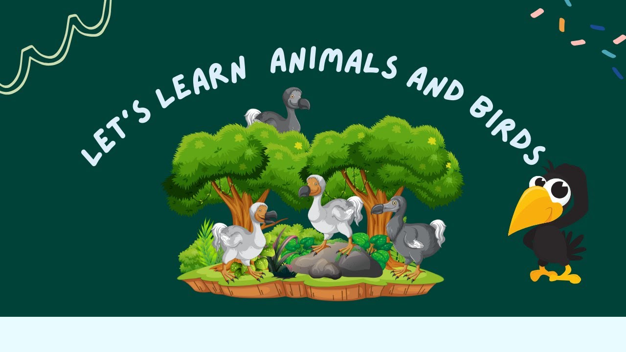 Learn Animals and Birds for Kids #3 | Names with picture | For Kids ...
