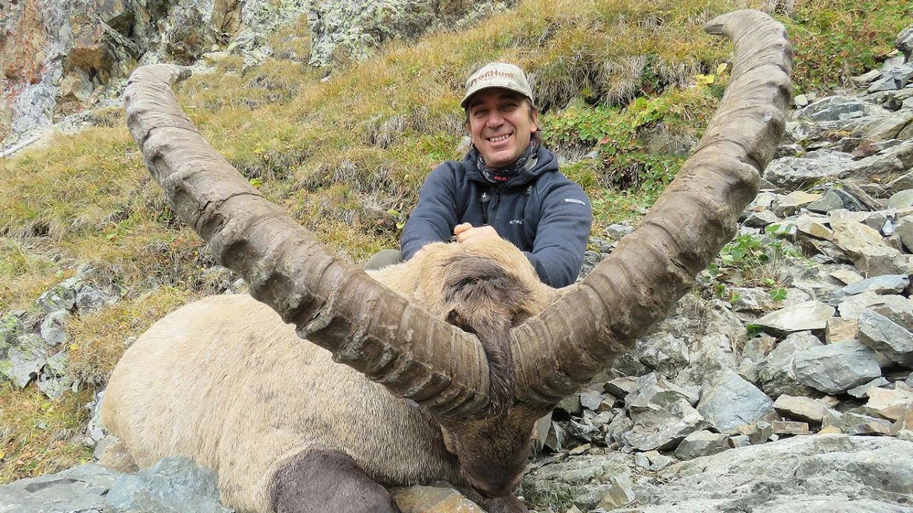 KUBAN (WESTERN) TUR HUNTING WITH PROFI HUNT 2020 - YouTube