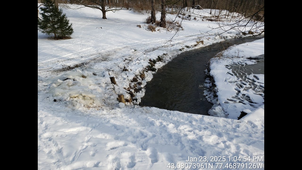 January 23, 2025 Ice Dam Flooding, Cross Canal Brook at Harvest Rd ...