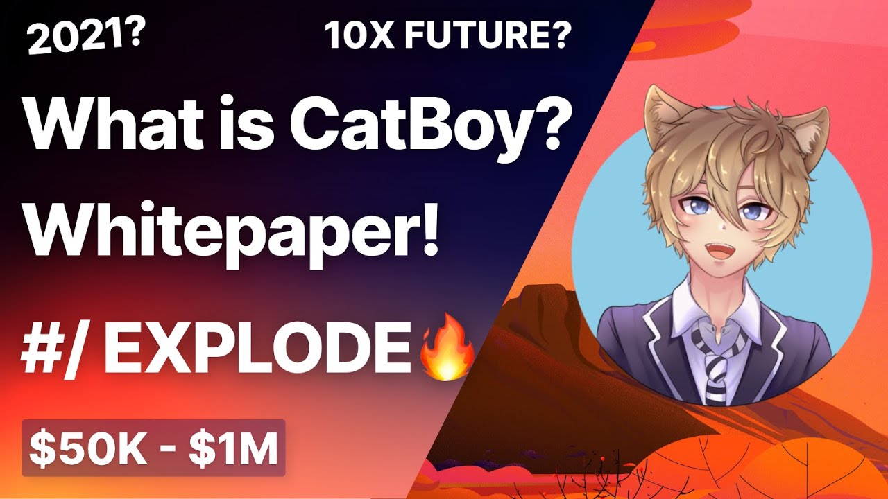 What is CatBoy Token? Whitepaper DeepDive & Realistic Price Analysis ...